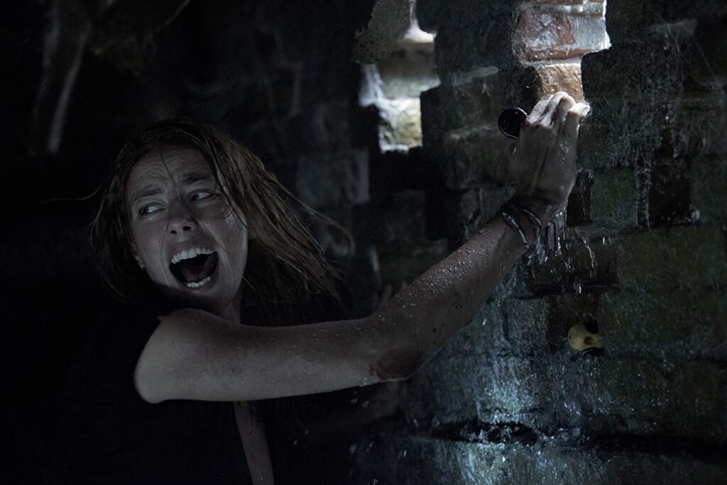 Crawl (2019) Review - The Movie Elite
