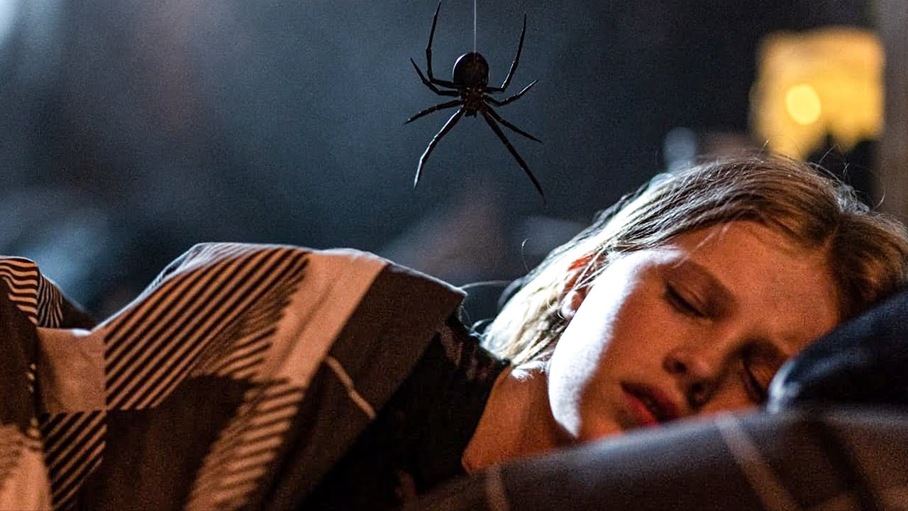 Sting (2024) Review - The Movie Elite